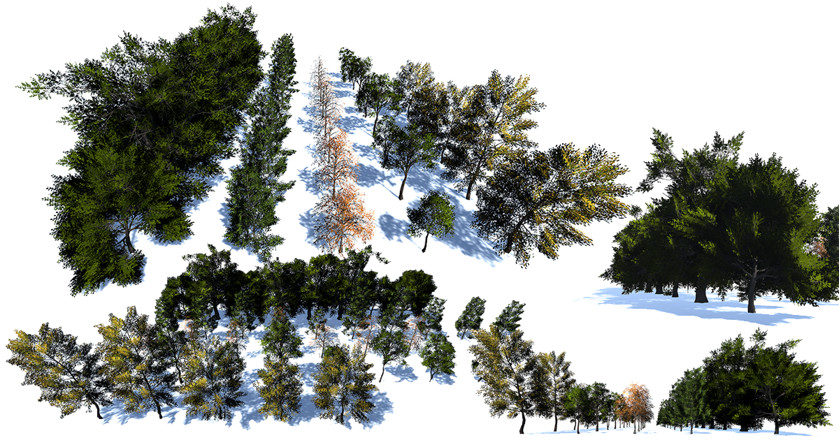 Trees Gen02 08 | 3D Trees | Unity Asset Store