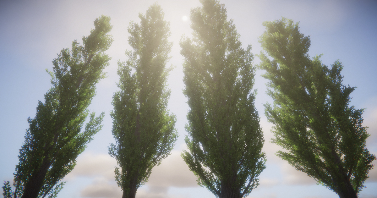Poplar Trees (HDRP/URP) | 3D 植物 | Unity Asset Store