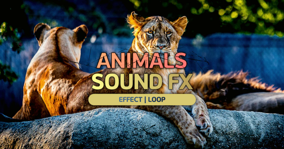 Sound Of Animals | Animals Sound FX | Unity Asset Store