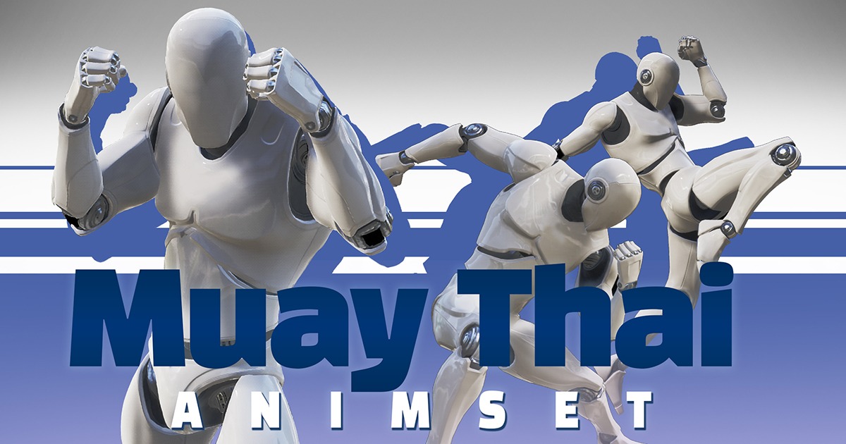 MuayThai AnimSet | 3D Animations | Unity Asset Store