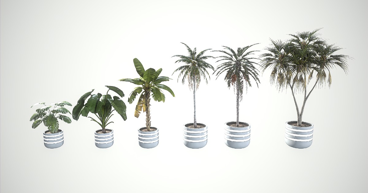 Realistic Potted Tropical Plants Collection – Nature Decor Pack | 3D ...