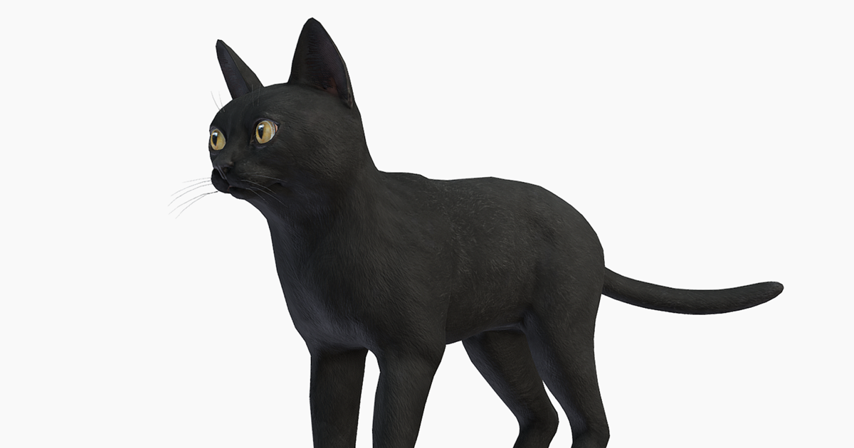Cat - Bombay | 3D Animals | Unity Asset Store