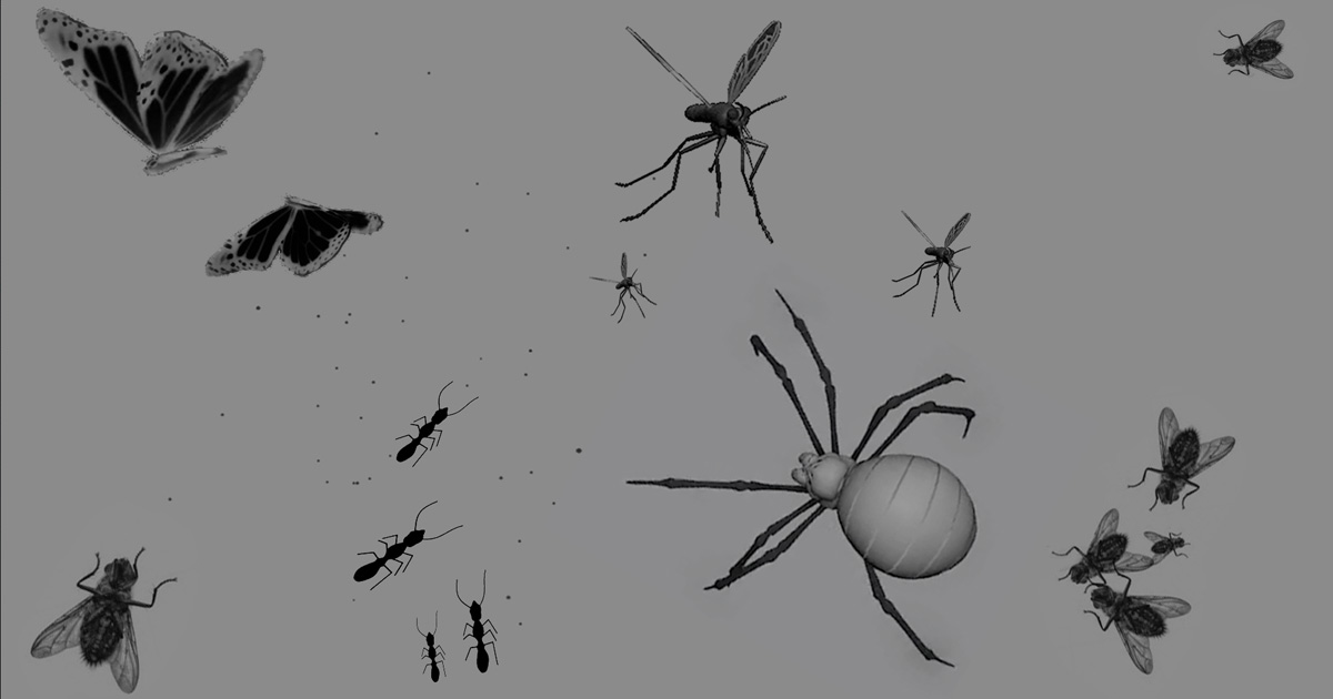 Bugs and Insects | VFX Particles | Unity Asset Store