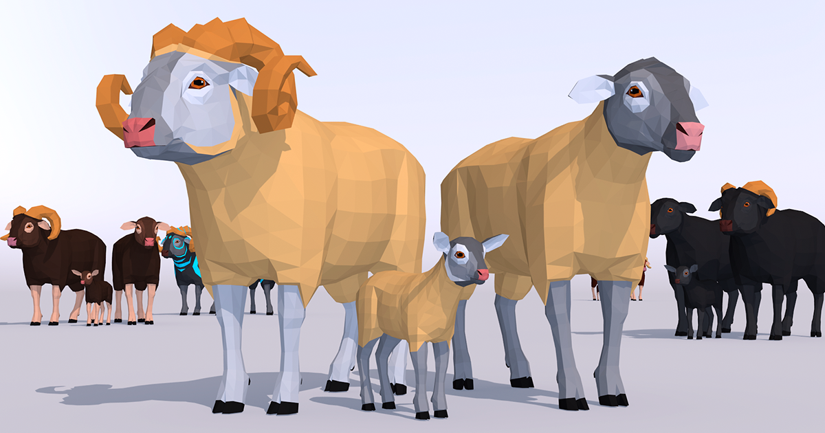 LowPoly Sheeps pack | Characters | Unity Asset Store
