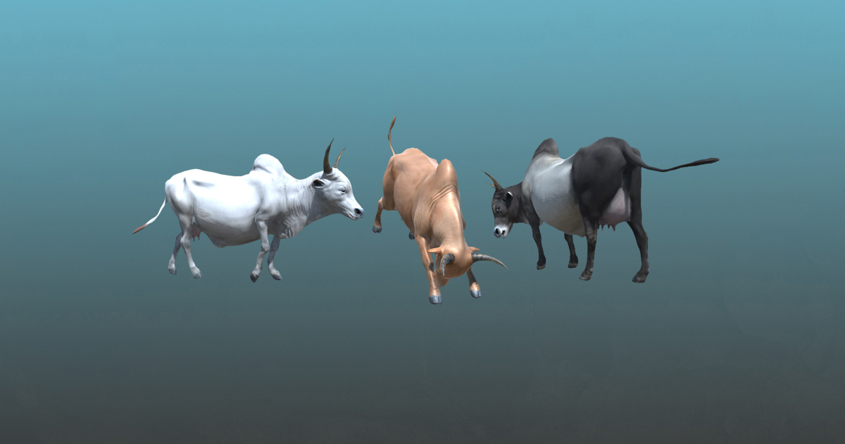 Domestic Animal - Indian Cow | 3D | Unity Asset Store