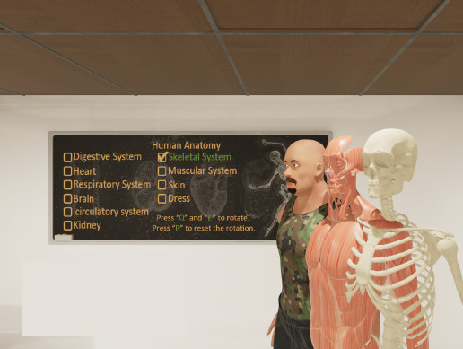 Human_Anatomy_HDRP | 3D Characters | Unity Asset Store