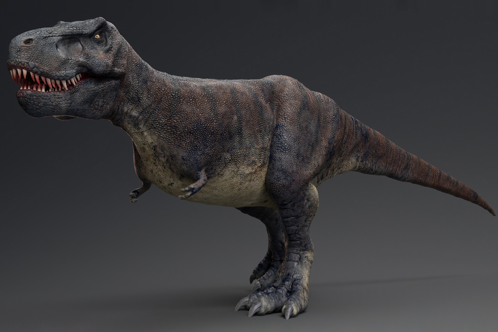 Tarbosaurus Bataar Real Dinosaur Series - 76 Animations | 3D クリーチャー ...