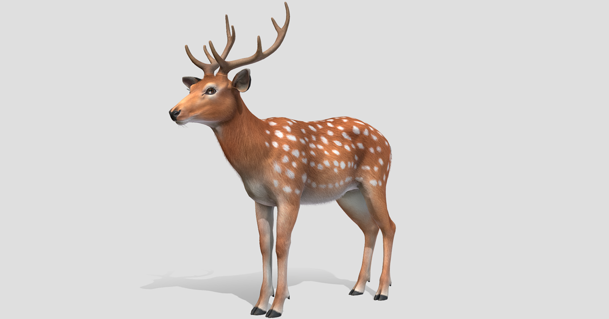 Deer - Stag | Characters | Unity Asset Store