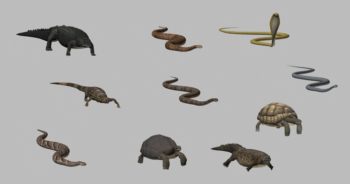 Reptile pack | Characters | Unity Asset Store