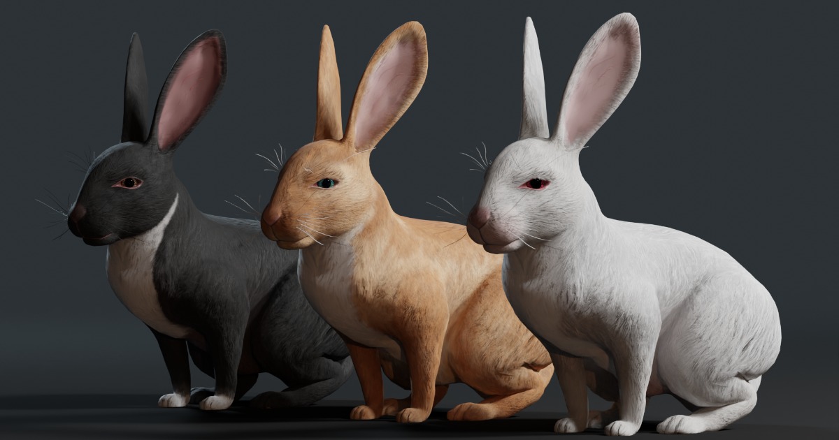 Animated Realistic Rabbit | Characters | Unity Asset Store