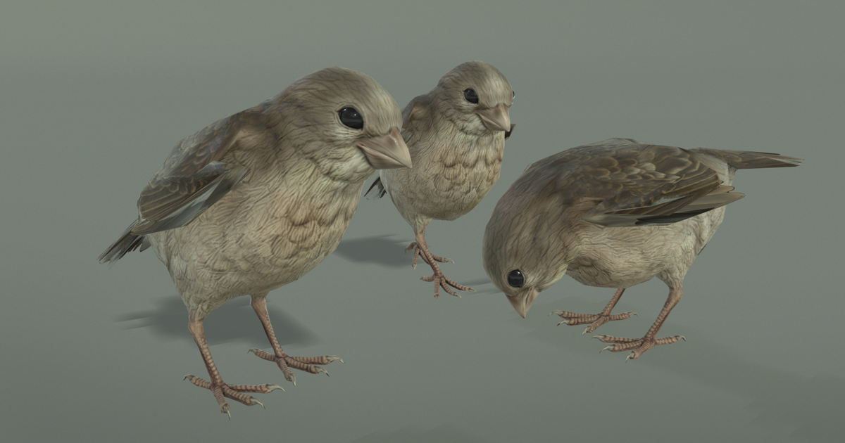 SPARROW | Characters | Unity Asset Store