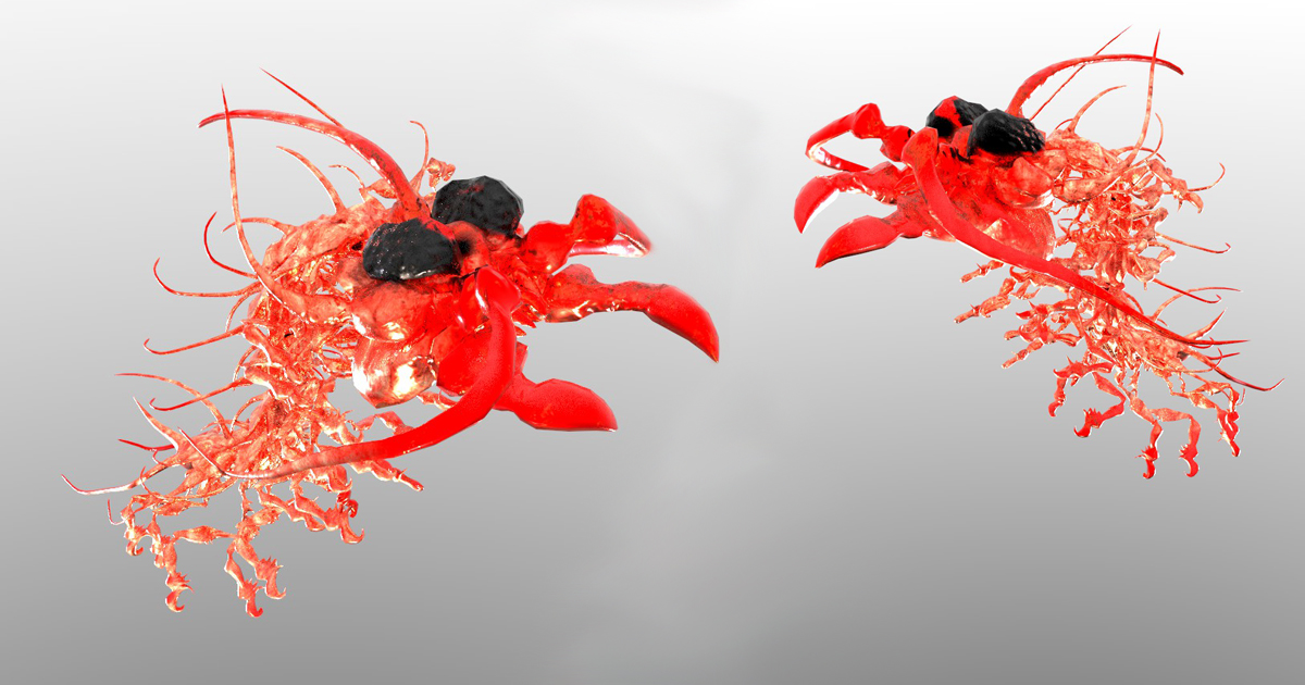 Trilobite Monster | 캐릭터 | Unity Asset Store