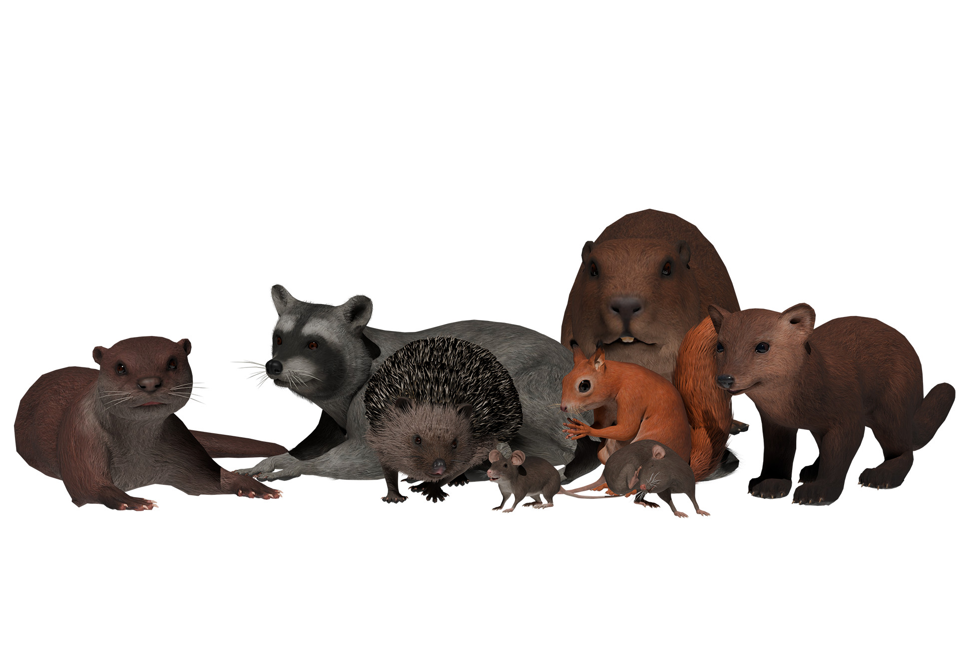 Pack of small animals | Characters | Unity Asset Store