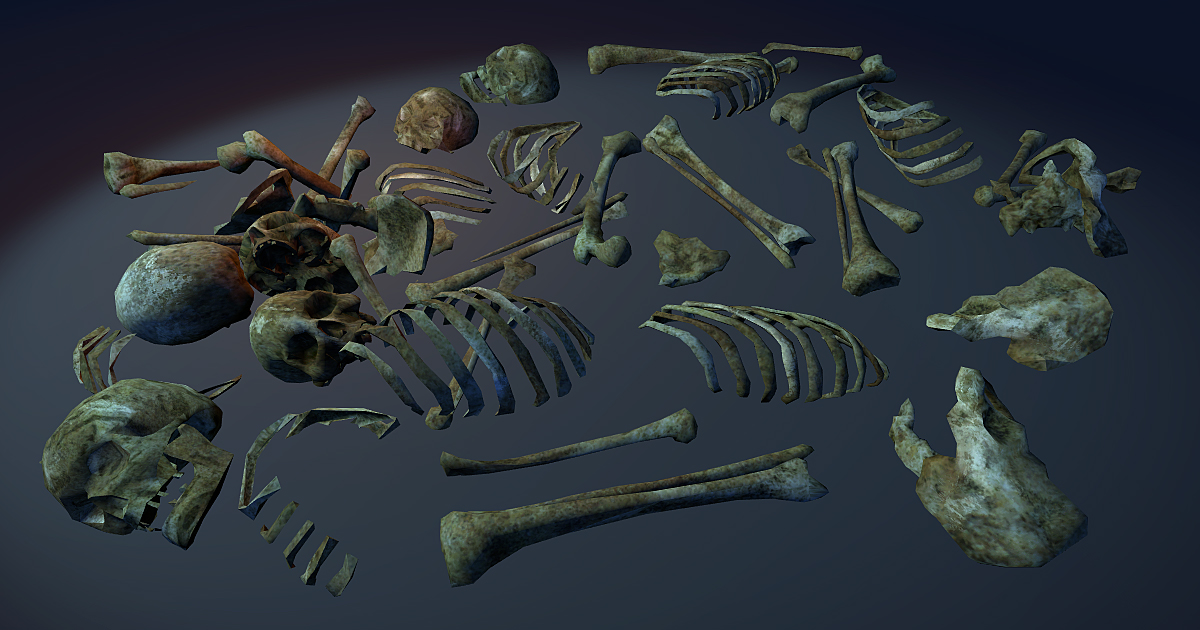 Bone package | 3D 생물 | Unity Asset Store