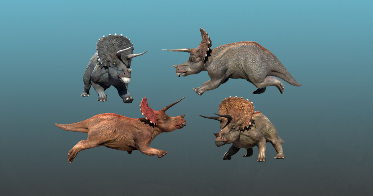 Dinosaur - Triceratops (Full Version) | 3D | Unity Asset Store