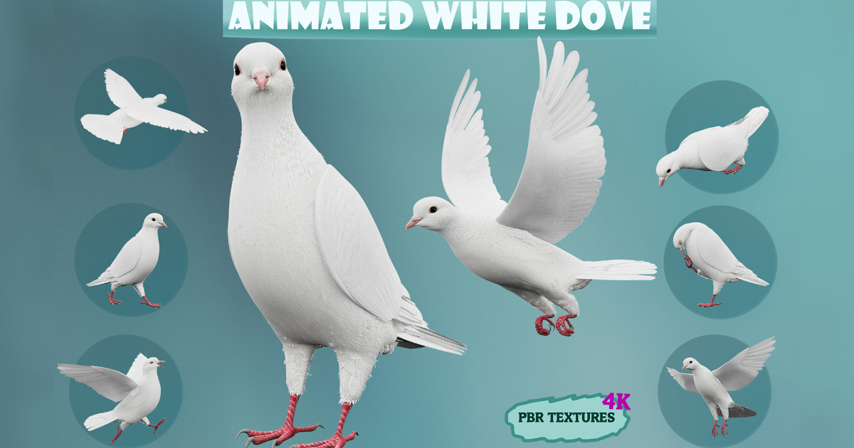 Realistic Animated White Dove Low-poly | Characters | Unity Asset Store