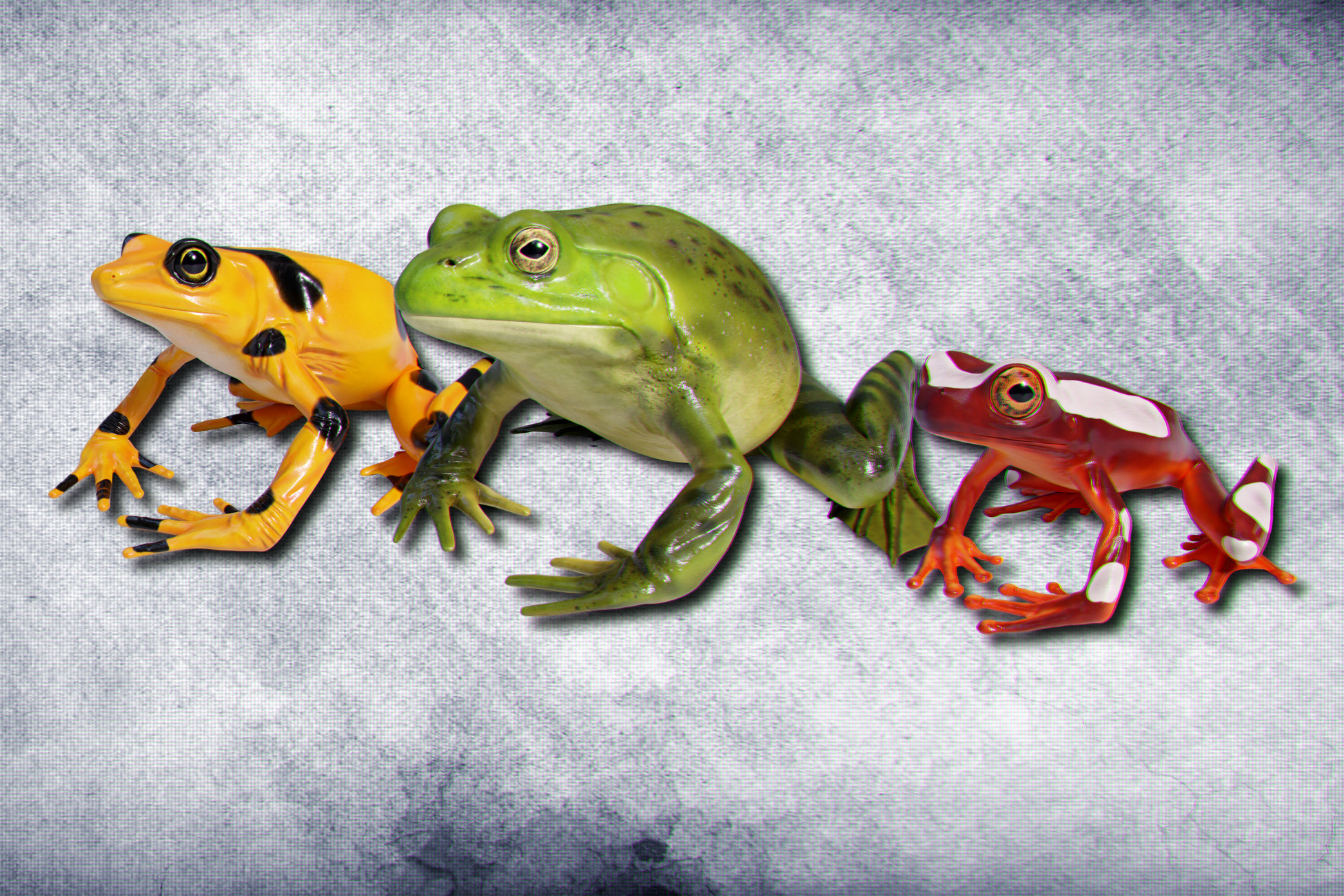 Animated Frogs Volume 1 | 3D Animals | Unity Asset Store