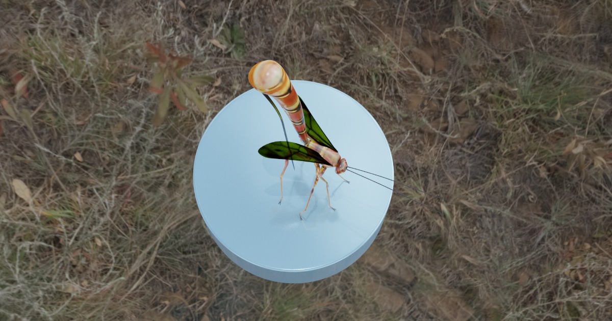 Insects and Arachnids (pack3) | 캐릭터 | Unity Asset Store