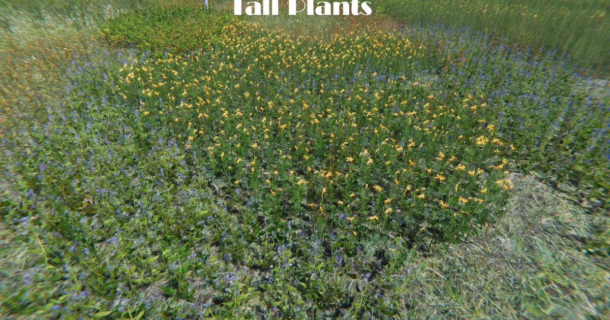 Tall Plants Pack | 3D Plants | Unity Asset Store