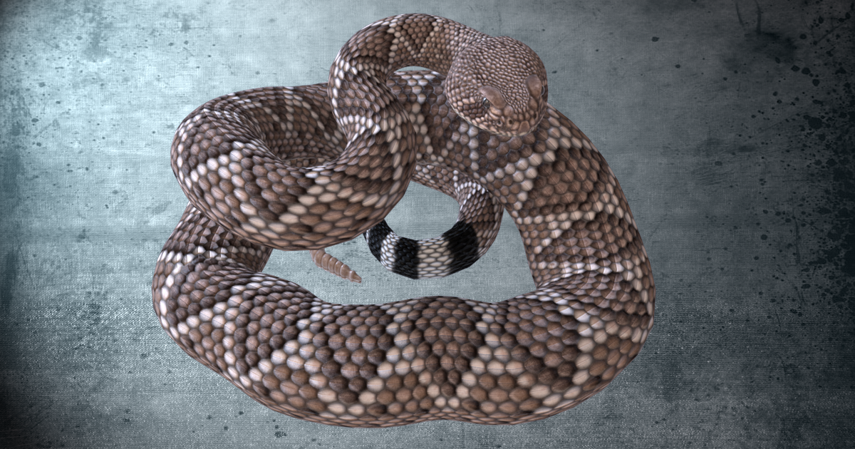 Animated Western Diamondback Rattlesnake PBR | Characters | Unity Asset ...
