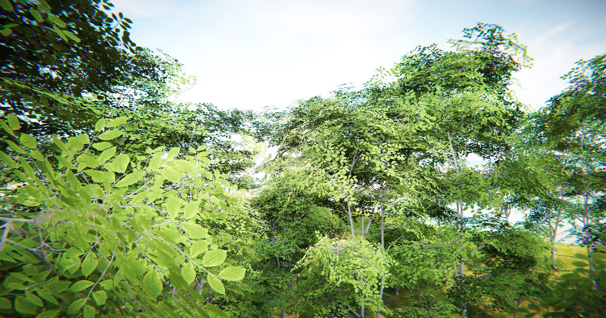 URP European Tree (Mobile) | 3D 樹木 | Unity Asset Store