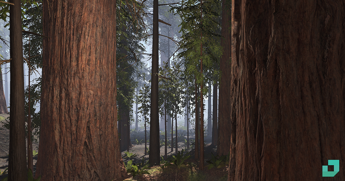 RedWood Forest Pack | 3D 景色 | Unity Asset Store