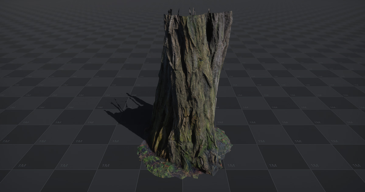 Photoscans: Free Tree 01 | 3D Vegetation | Unity Asset Store