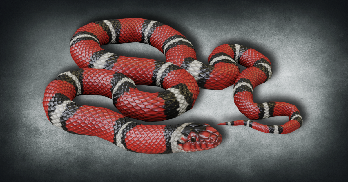 Animated Scarlet King Snake PBR | Characters | Unity Asset Store