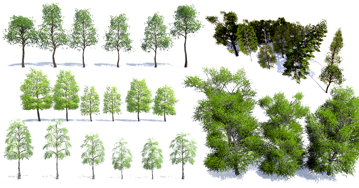 TreesGen02_10 | 3D Trees | Unity Asset Store