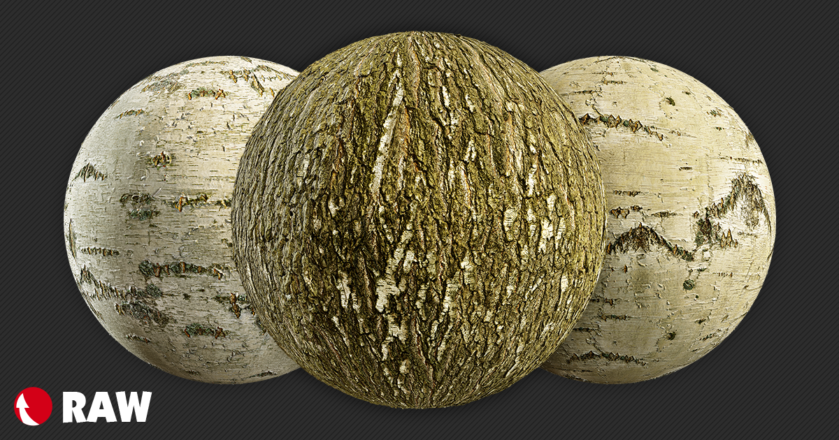 Birch Bark Textures Pack #2 | 2D Wood | Unity Asset Store