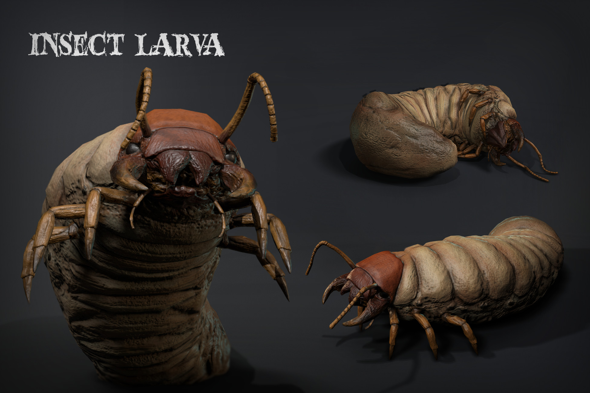 Insect Larva | Characters | Unity Asset Store