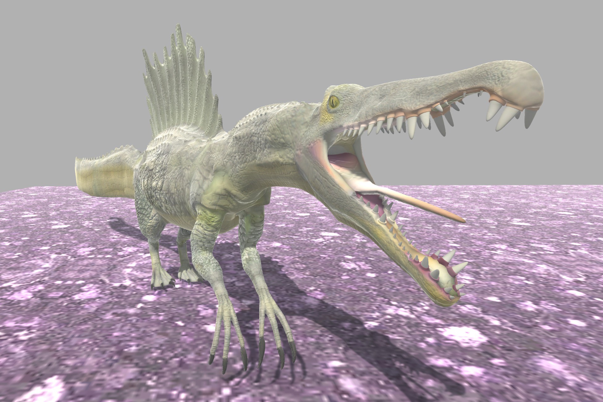 Spinosaurus aegyptiacus | 캐릭터 | Unity Asset Store