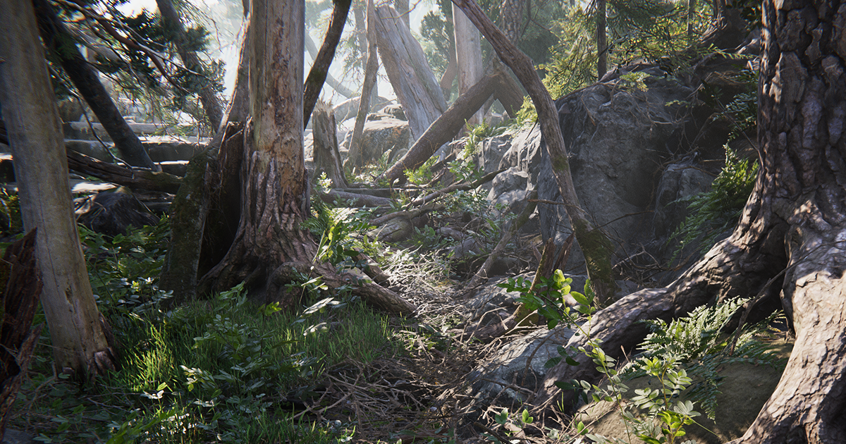 Book Of The Dead: Environment | HDRP | Tutorial Projects | Unity Asset Store