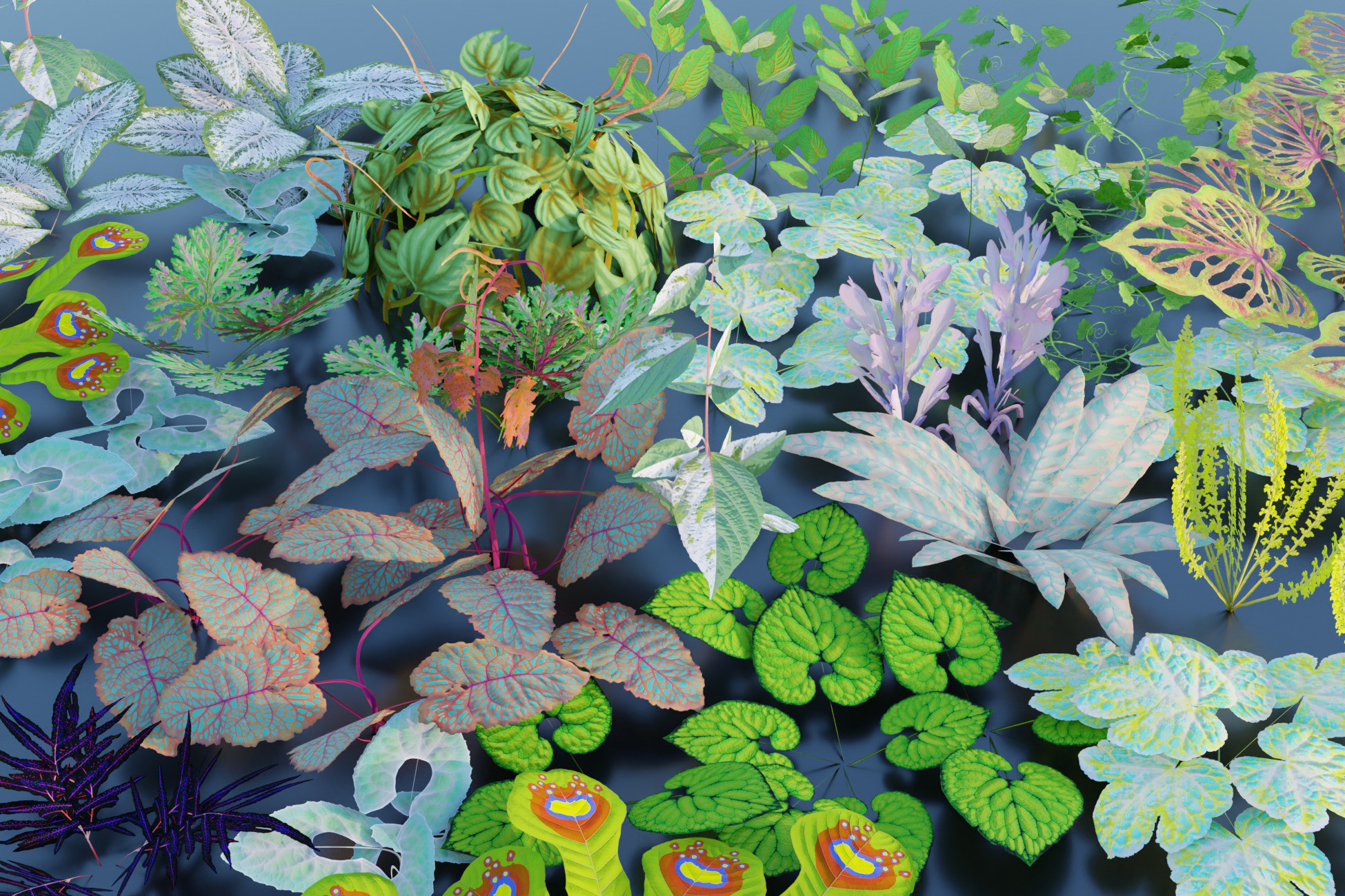 Splash of Color - Unique Photogrammetry Plants | 3D Plants | Unity ...