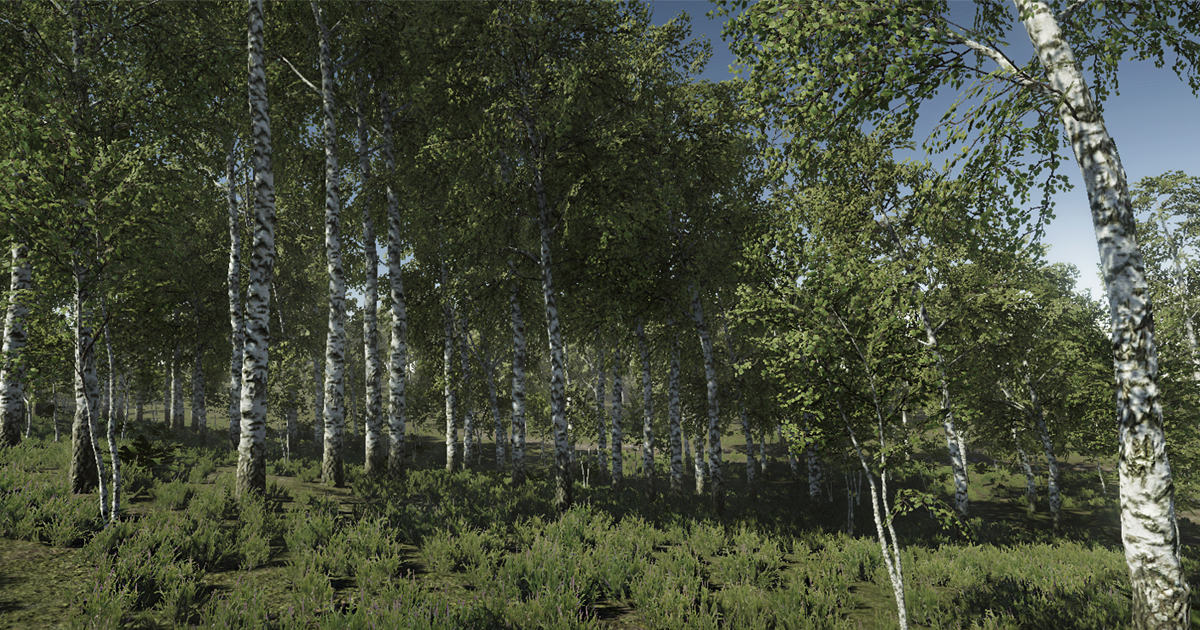 Birch Trees Package | 3D Trees | Unity Asset Store