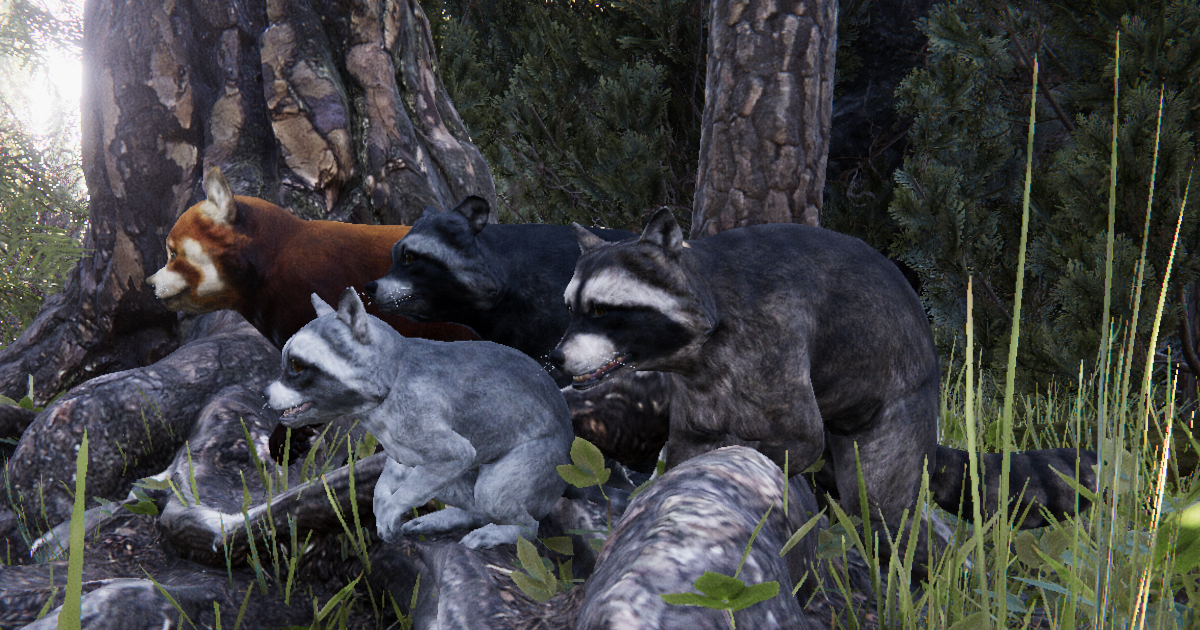 Realistic Raccoons and Red Panda | 3D Animals | Unity Asset Store