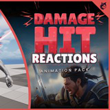 Damage Hit Reactions Animation Pack