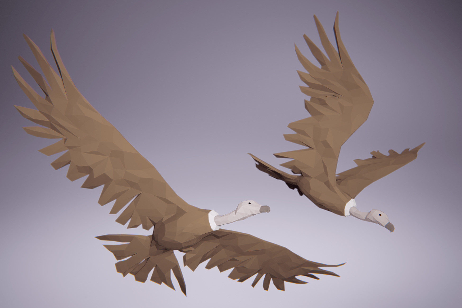 Low Poly Bird: Vulture | 캐릭터 | Unity Asset Store