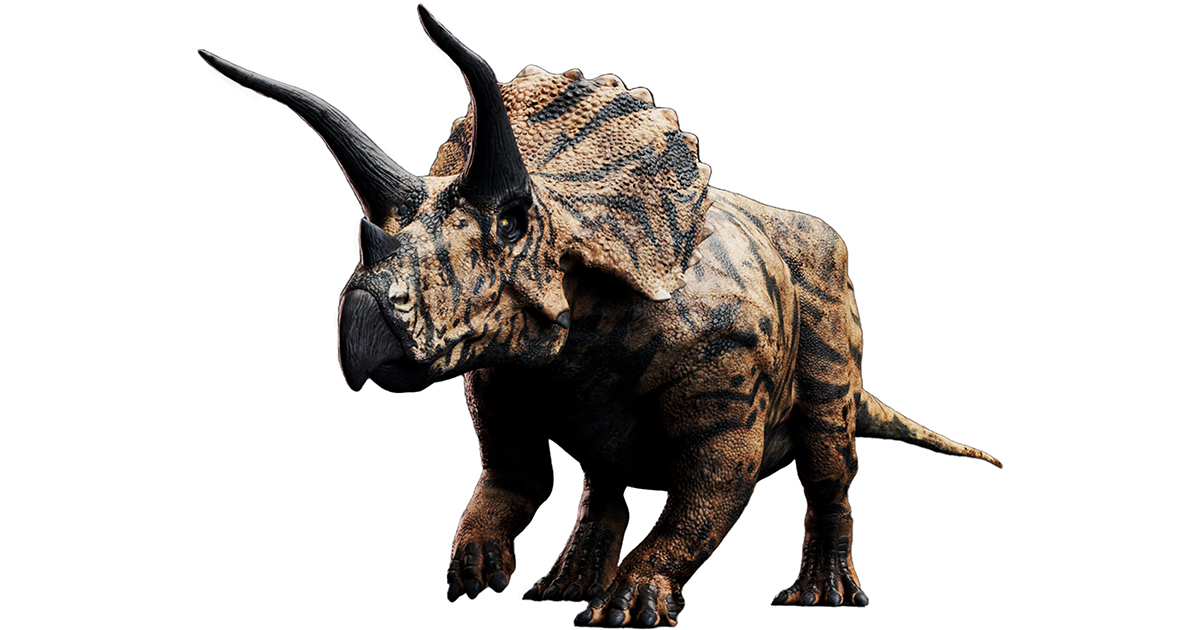 Triceratops Real Dinosaur Series | 3D Creatures | Unity Asset Store
