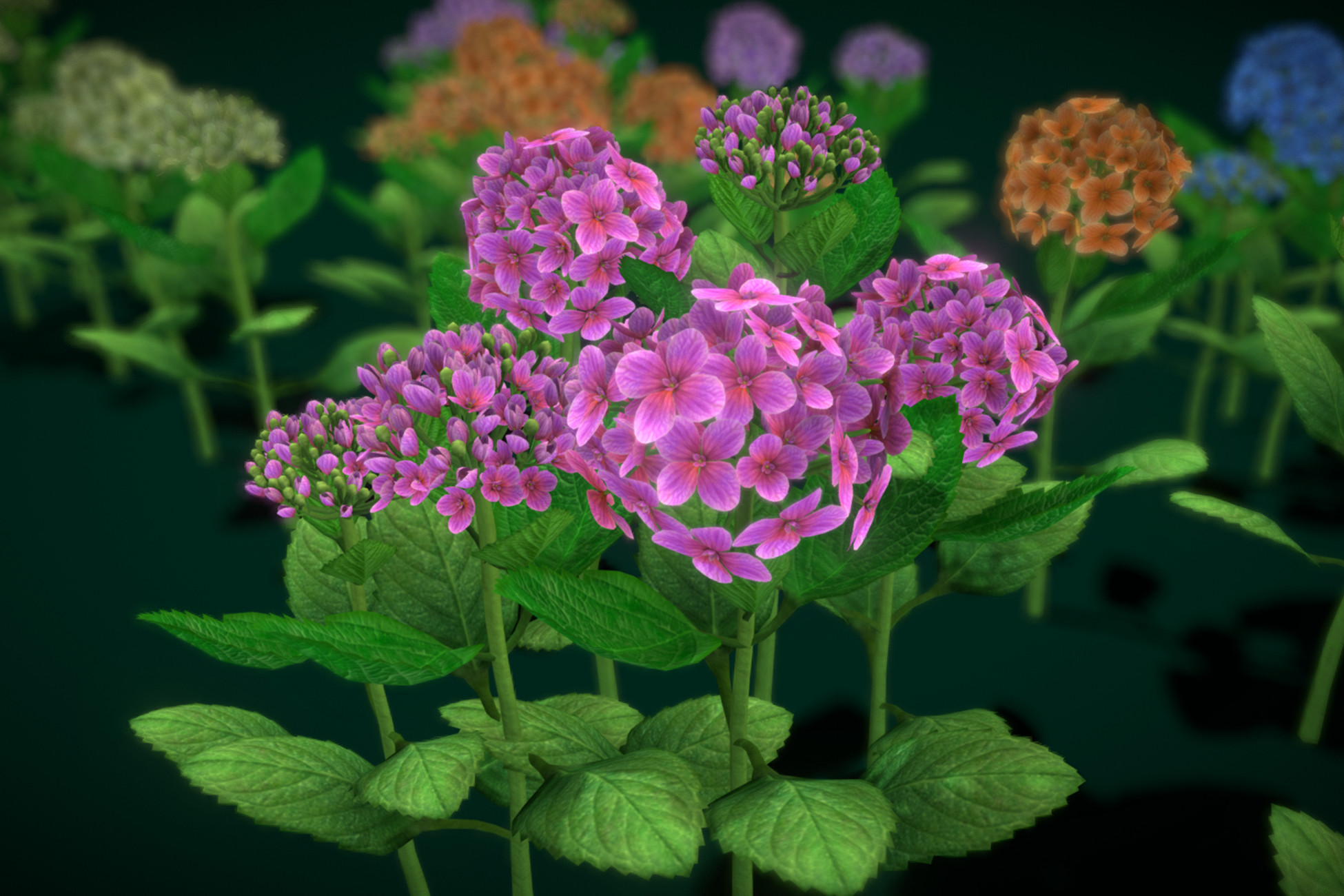 Flower Hydrange | 3D Flowers | Unity Asset Store