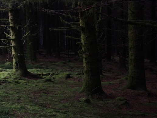 Dark and Evil Ambient Pack | Audio Ambient | Unity Asset Store