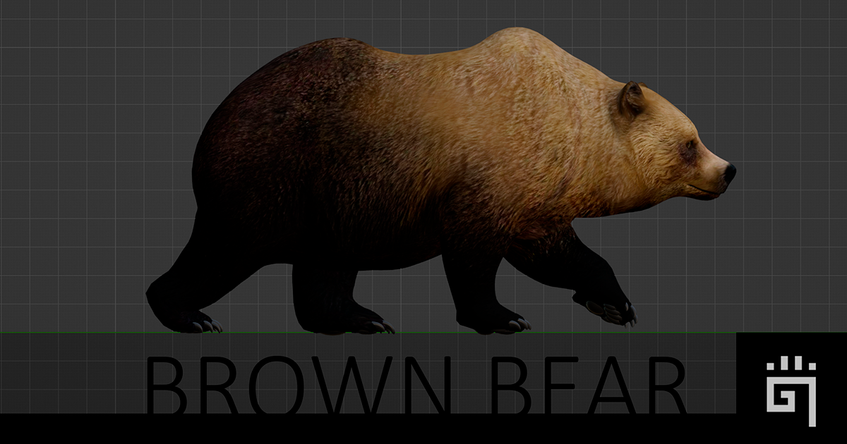 Brown Bear | Characters | Unity Asset Store