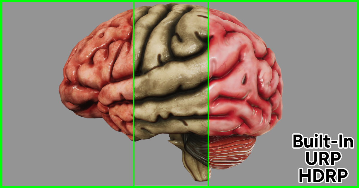 Human Brain with Cross Section | 3D 휴머노이드 | Unity Asset Store