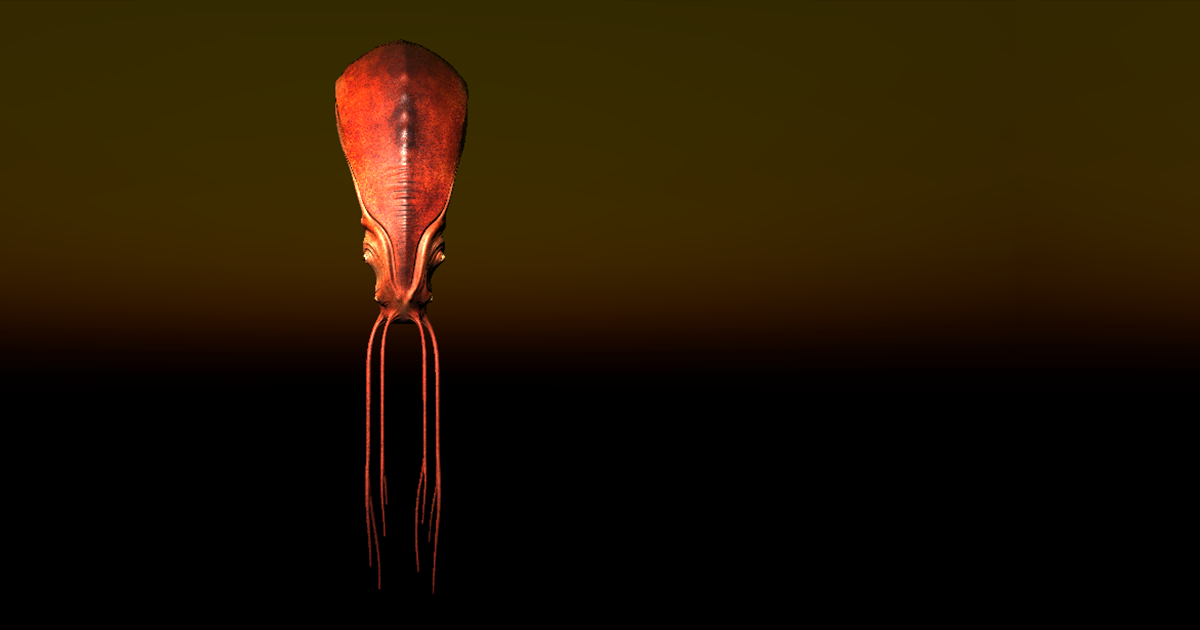 Nautilus | 3D Creatures | Unity Asset Store