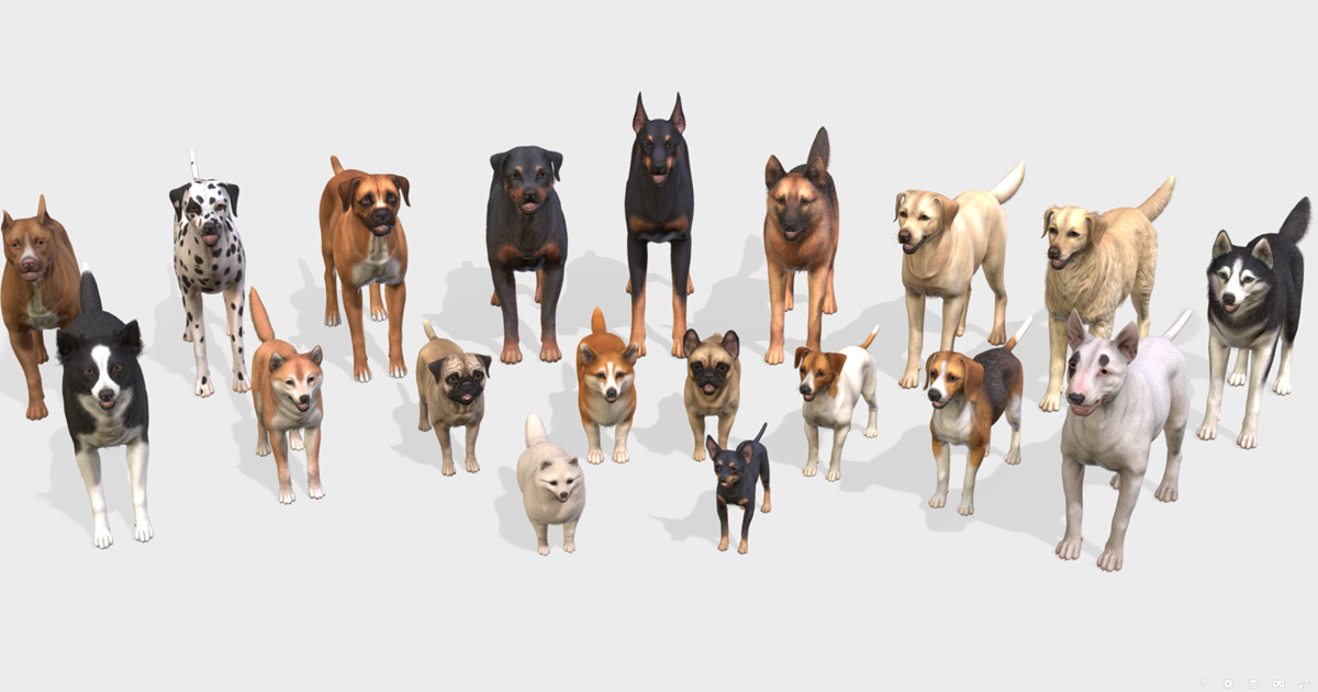 Dogs Big Pack | 3D Animals | Unity Asset Store