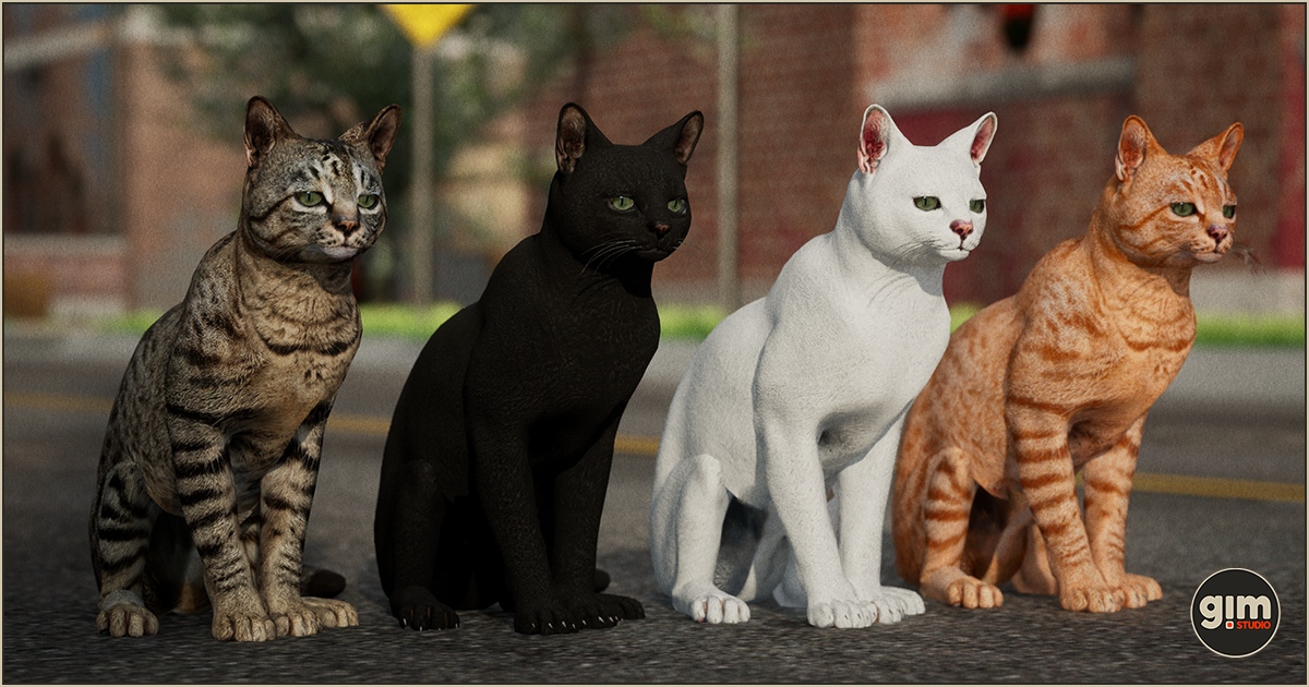 Animalia - Cat | 3D Animals | Unity Asset Store