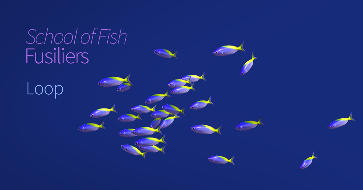 Fusiliers School Fish | Characters | Unity Asset Store