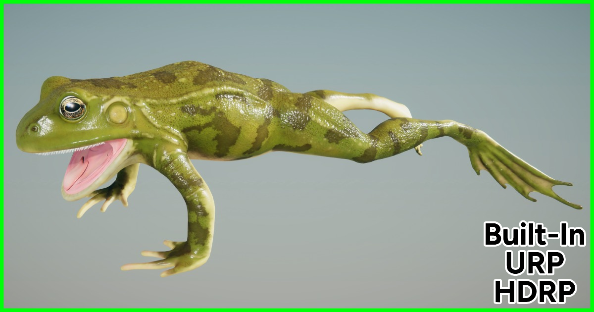 Frog 3D Anatomy | 3D Animals | Unity Asset Store