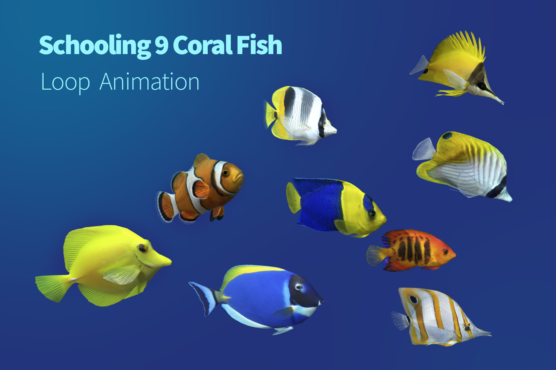 Schooling 9 Coral Fish | Characters | Unity Asset Store