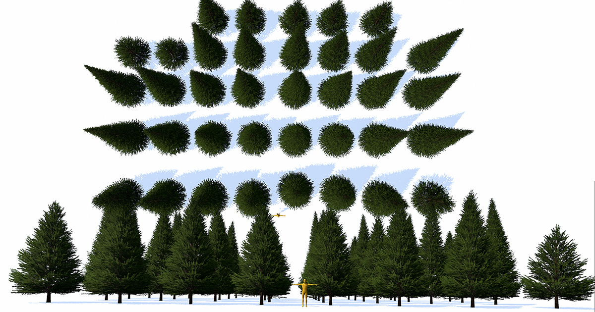 TreeGen04-FirTrees02 | 3D Trees | Unity Asset Store
